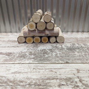 Small Birch Logs - Etsy
