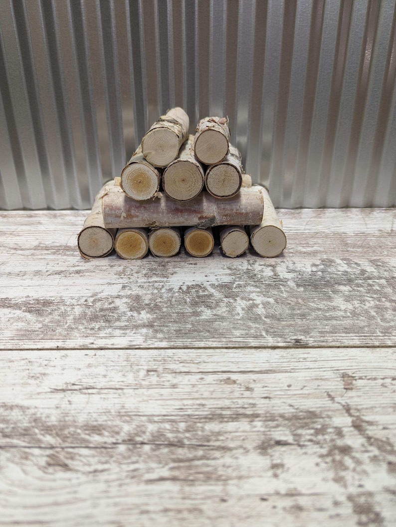Small Birch Logs - Etsy