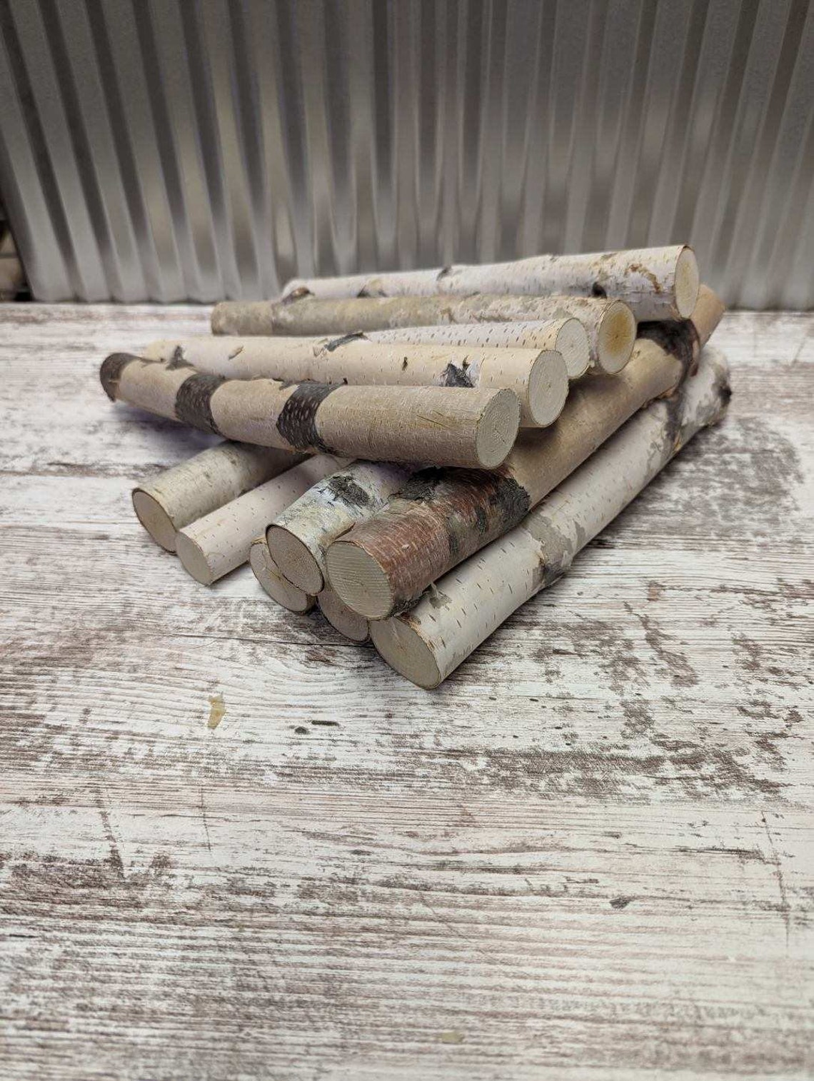 12" Birch Logs - Etsy