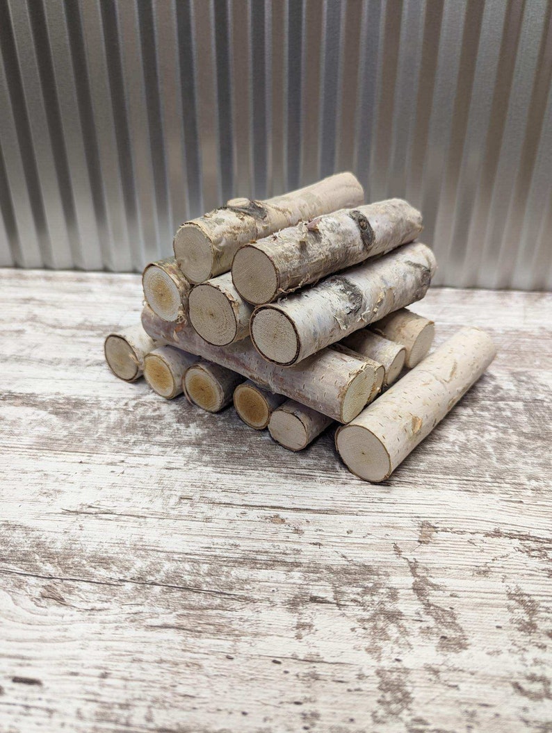 Small Birch Logs - Etsy