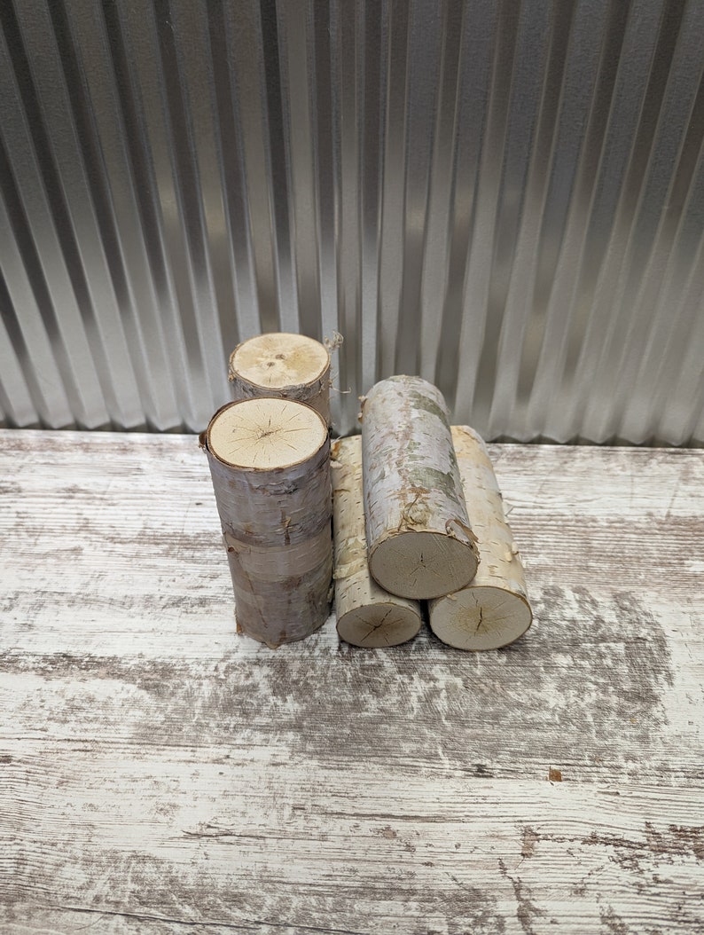 Medium Birch Pillar - Etsy