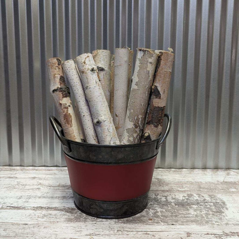 Birch Logs - Etsy