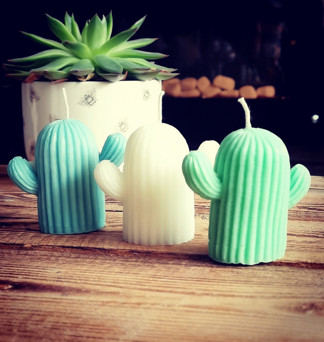 Cute Cactus Candle Set of 2 Cactus Candles Cacti Home Decor Cactus Gift ...