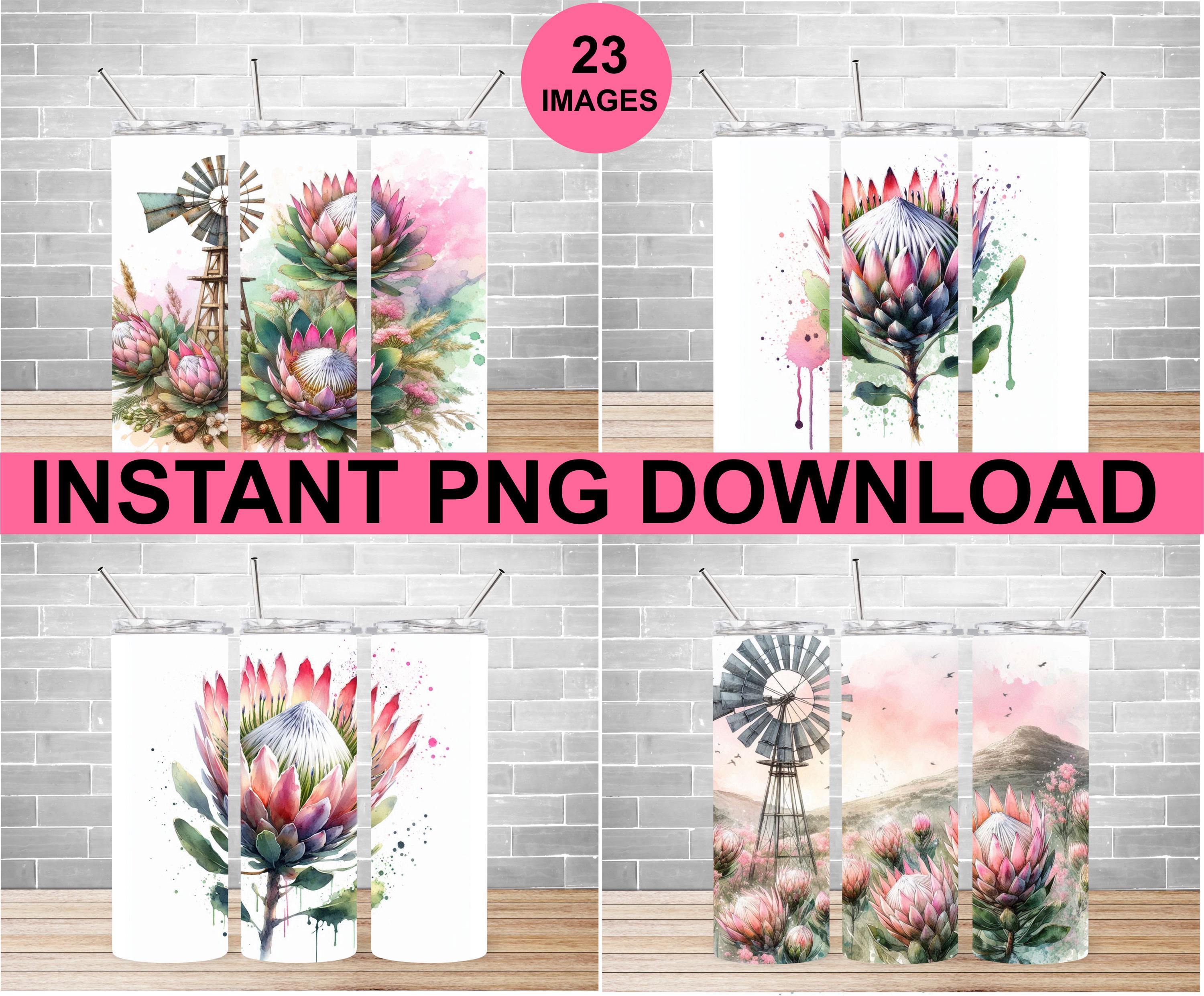 Watercolor Protea Wind Pump Tumbler Sublimation Design (PNG Digital ...