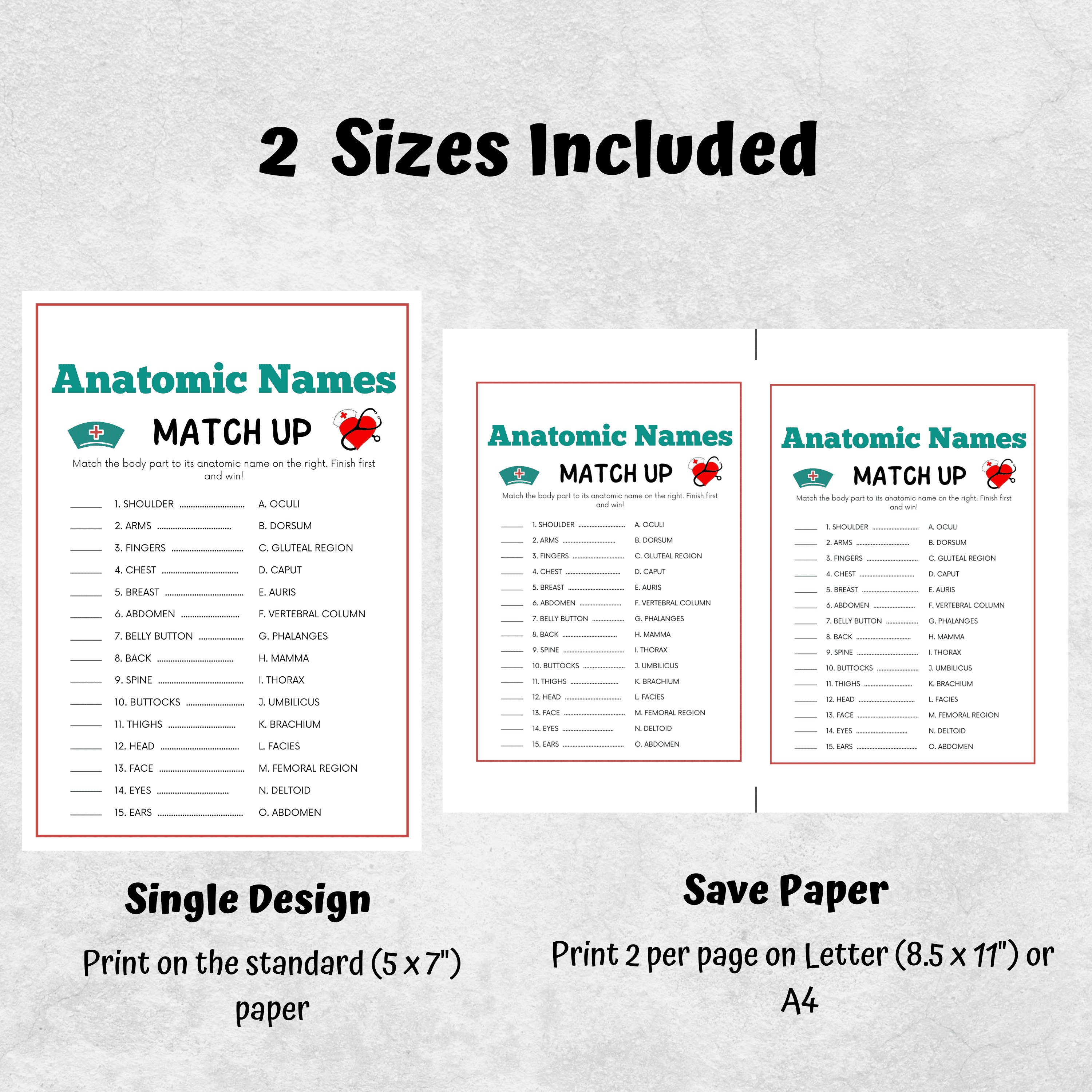 Nurse Games, Anatomic Names Match Up, Nurse Party Games, Nurse ...