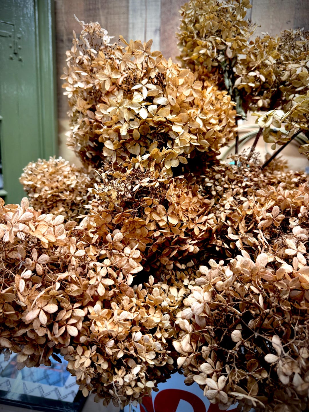 Dried Hydrangeas With Stems Bundle - Etsy
