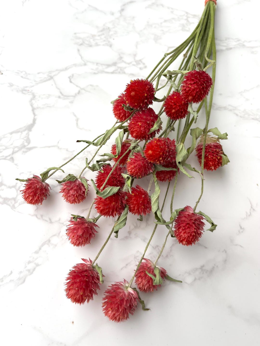 Dried Red Gomphrena Flower Bunch: Globe Amaranth DIY Crafts Home Decor ...