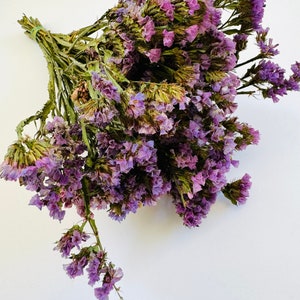 Dried Statice Flowers With Stems Botanical Decor Floral Decor Crafting ...