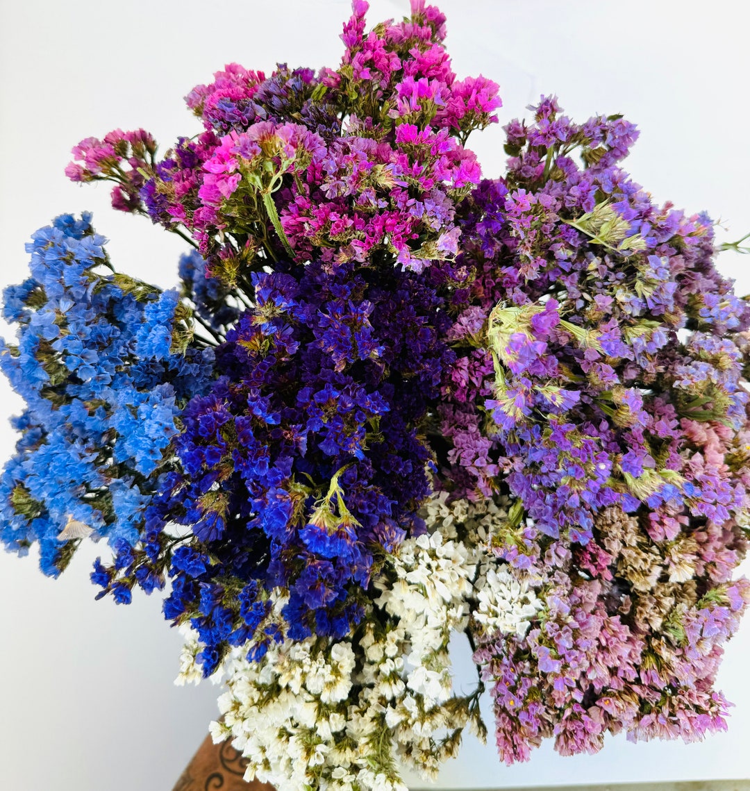 Dried Statice Flowers With Stems Botanical Decor Floral Decor Crafting ...