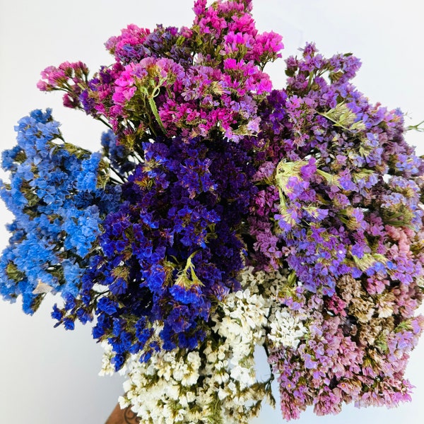 Statice Flowers - Etsy