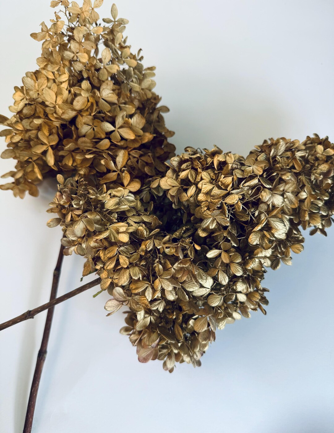 Gold Dried Hydrangeas With Stems Bundle: Vintage Cottage Home Decor - Etsy