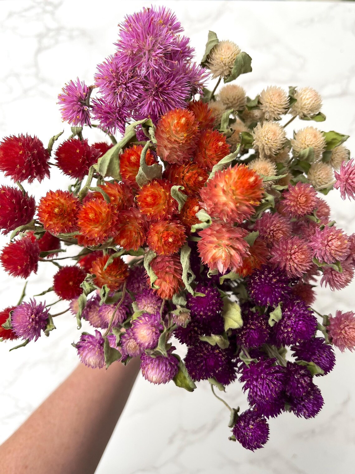 Dried Red Gomphrena Flower Bunch: Globe Amaranth DIY Crafts Home Decor ...
