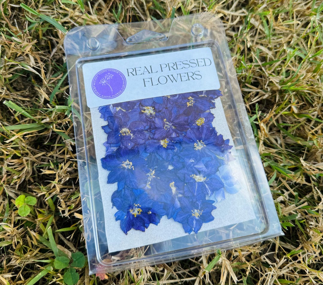 Real Pressed Larkspur Flowers Dried Floral Art Crafting Supplies Resin ...