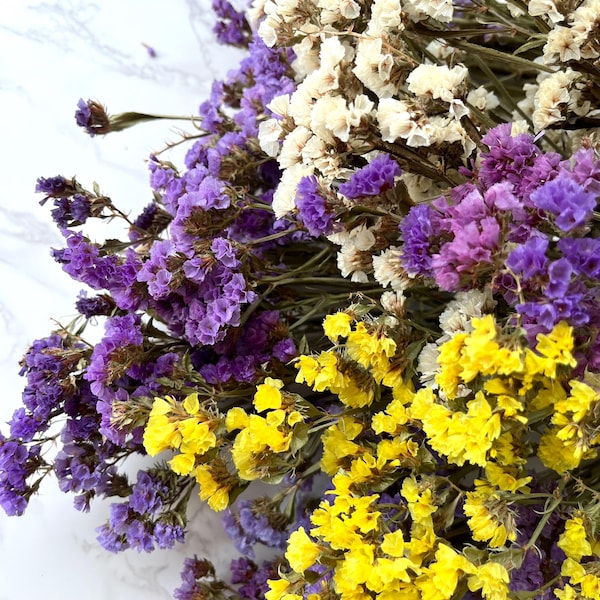 Statice Flowers - Etsy