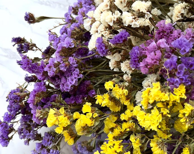 Dried Statice Flower Bunch: Natural DIY Floral Crafting, Wedding ...