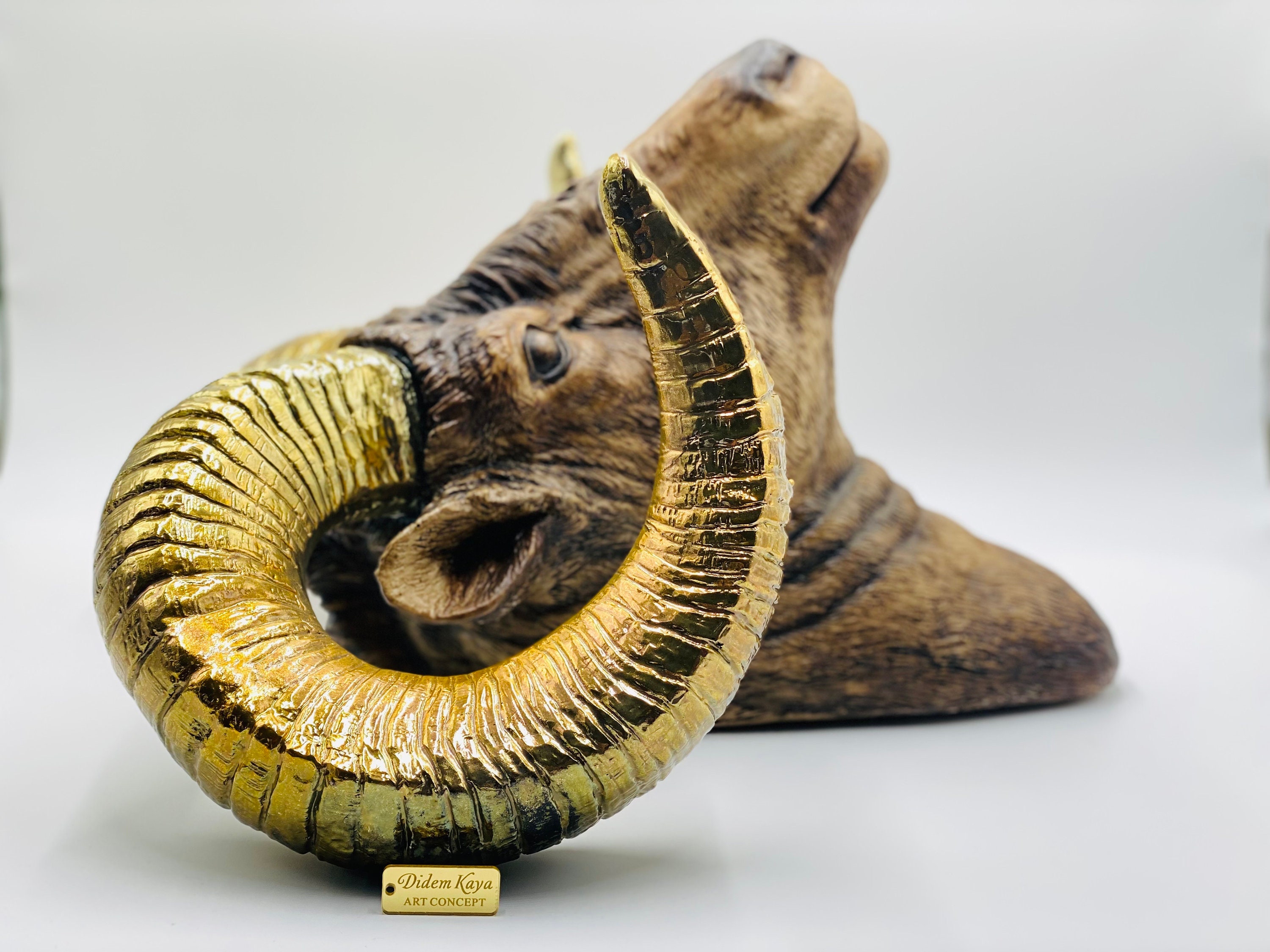 Natural Ram Head Wall Mount With Chrome Plated Gold Horns - XL RAM ...