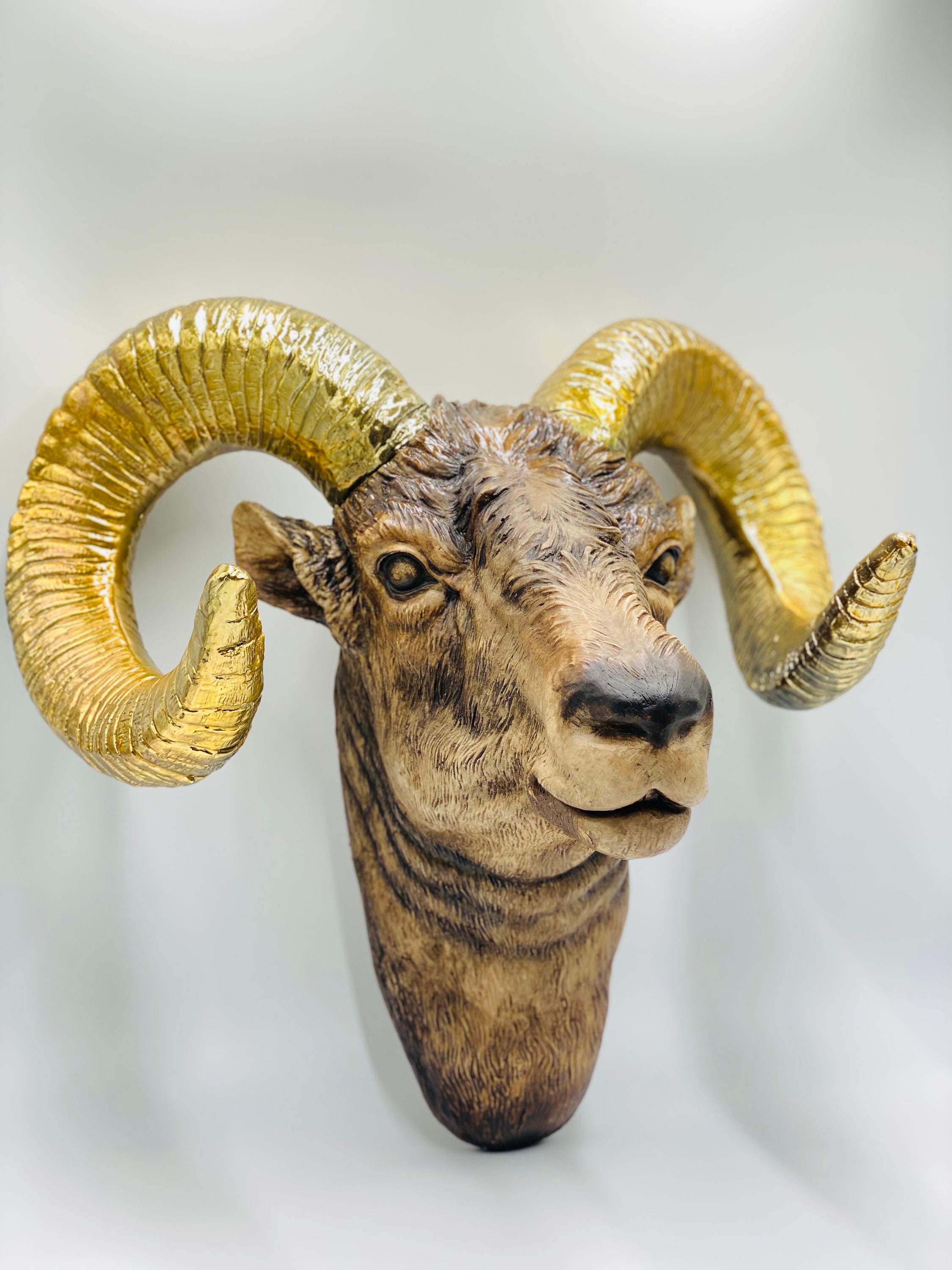 Natural Ram Head Wall Mount With Chrome Plated Gold Horns - XL RAM ...