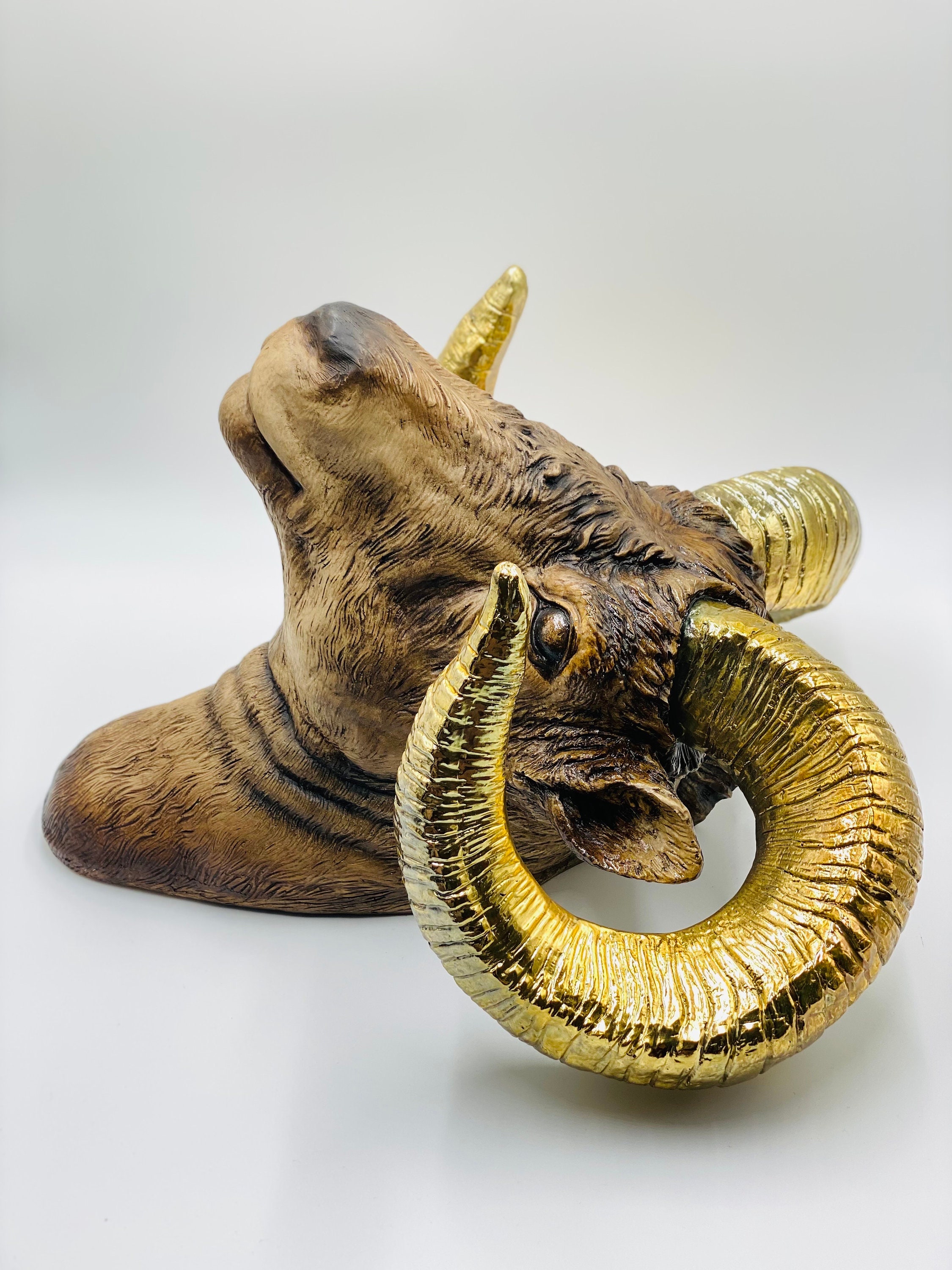 Natural Ram Head Wall Mount With Chrome Plated Gold Horns - XL RAM ...