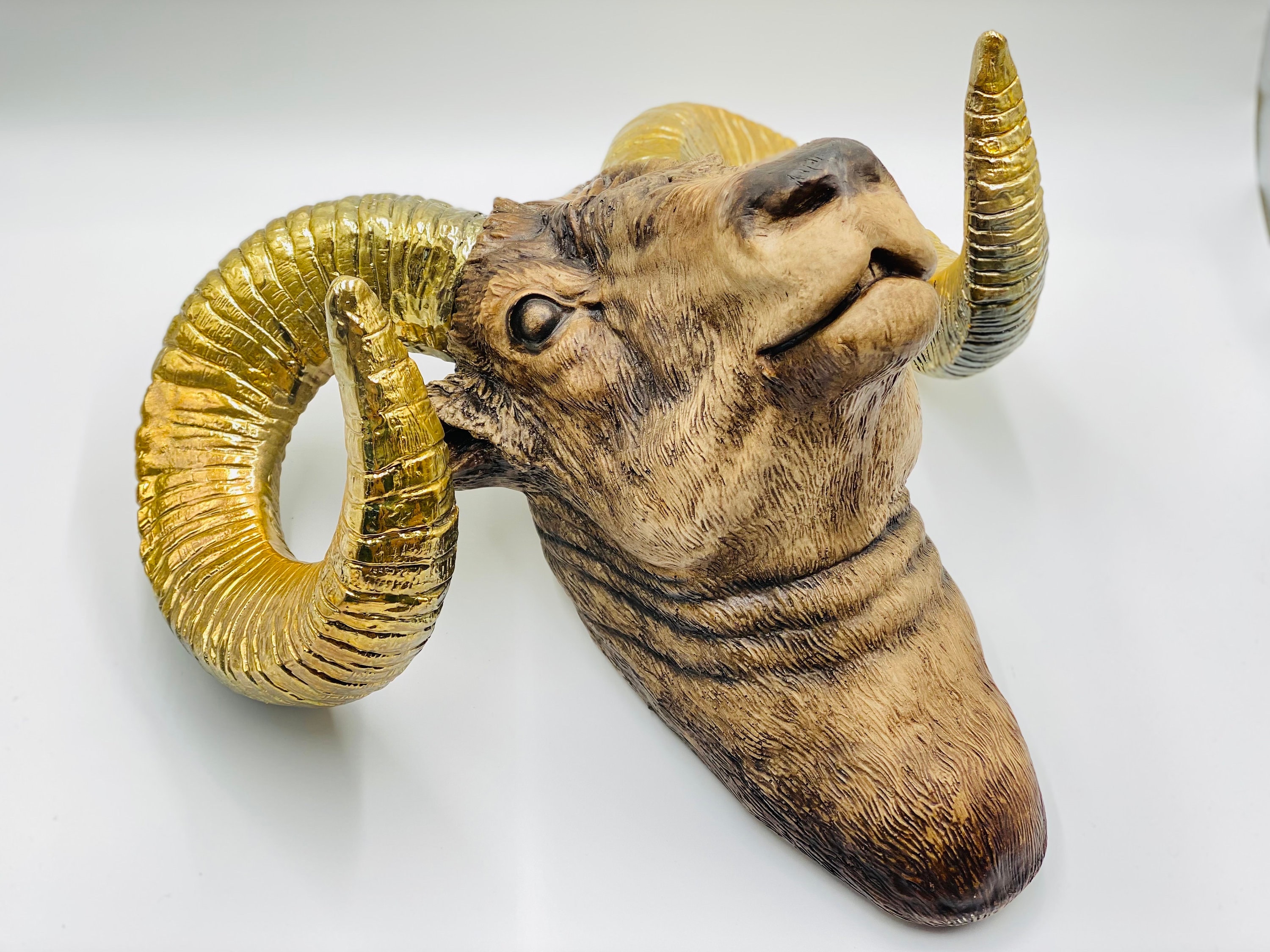 Natural Ram Head Wall Mount With Chrome Plated Gold Horns - XL RAM ...