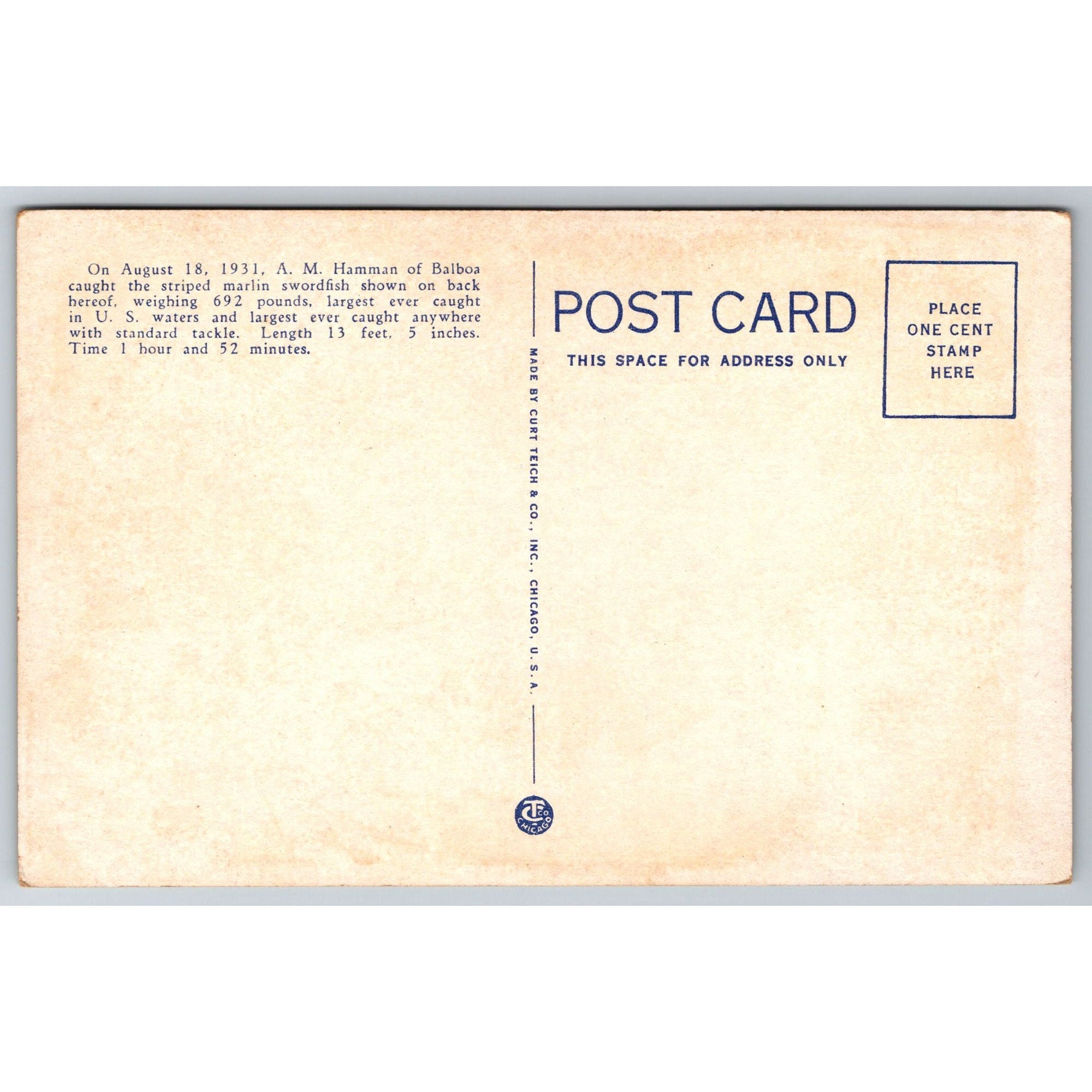 Postcard World Record Swordfish Caught at Balboa, CA Vintage Curt Teich ...