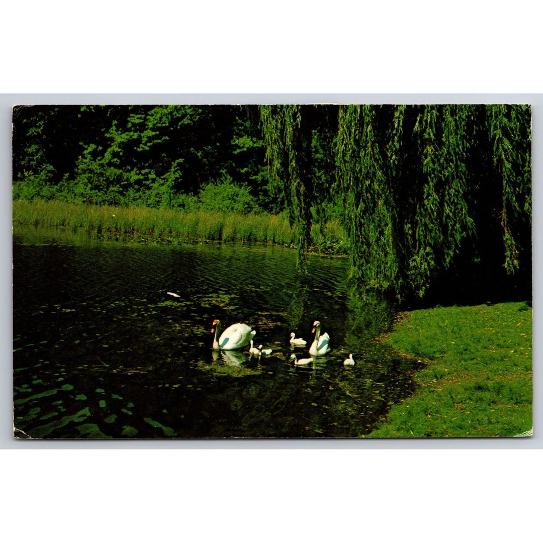Postcard Michigan State Hidden Lake Gardens Tipton 0185 - Etsy