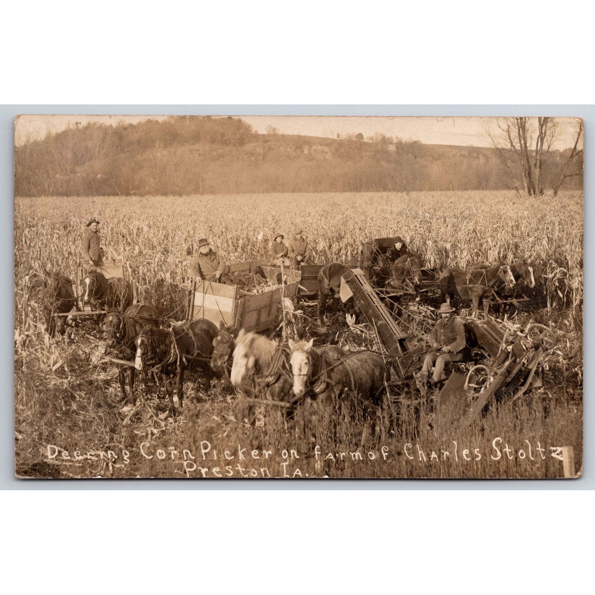 Postcard Antique Deering Corn Picker Farm Charles Stoltz Preston ...