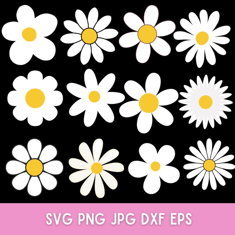 Daisy SVG Bundle: Floral Cut Files for Cricut (digital Download) - Etsy