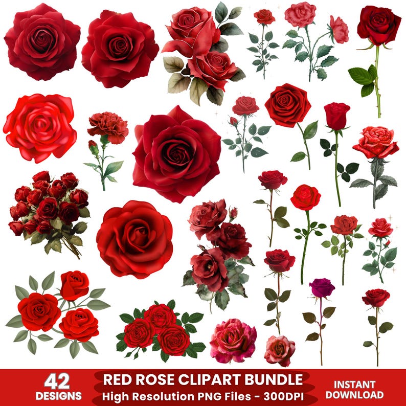 Red Rose Clipart PNG Bundle,watercolor Rose Clipart,floral Rose Png,red ...