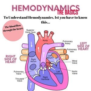 Hemodynamics Basics: Nurse Study Guide (PDF Download) - Etsy