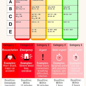 ER Triage Cheat Sheet: Emergency Severity Index (PDF Download) - Etsy
