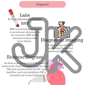 Heart Failure Nursing Notes: Nurse Study Guide (PDF Download) - Etsy