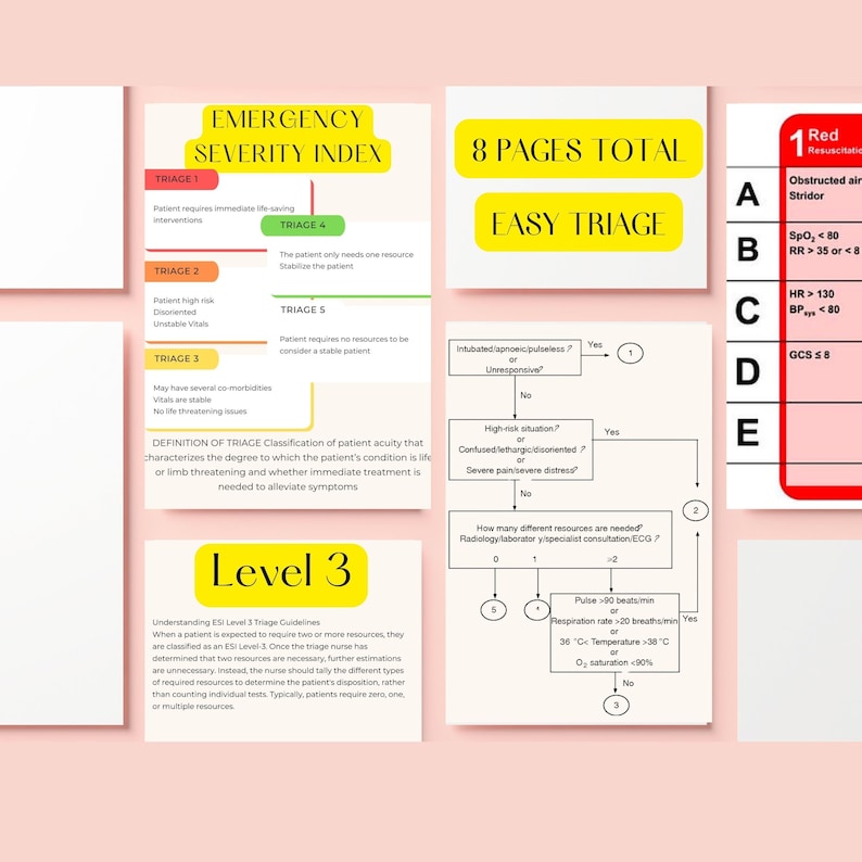 ER Triage Cheat Sheet: Emergency Severity Index (PDF Download) - Etsy