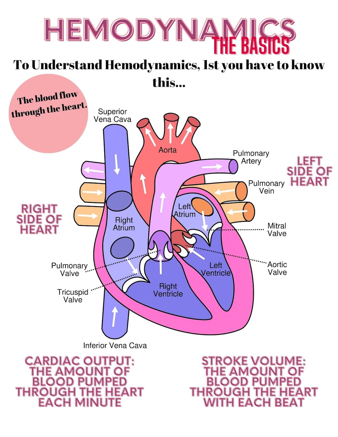 Hemodynamics Basics. Nurse Cheat Sheet, Nursing Student Notes, Cardiac ...
