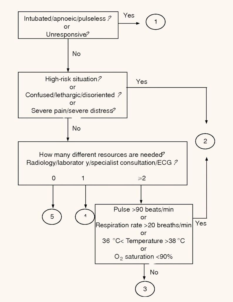 ER Triage Cheat Sheet: Emergency Severity Index (PDF Download) - Etsy