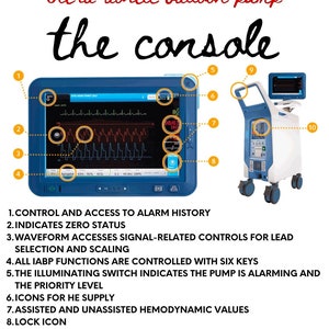 IABP Cheat Sheet: ICU Nursing Notes (PDF Download) - Etsy