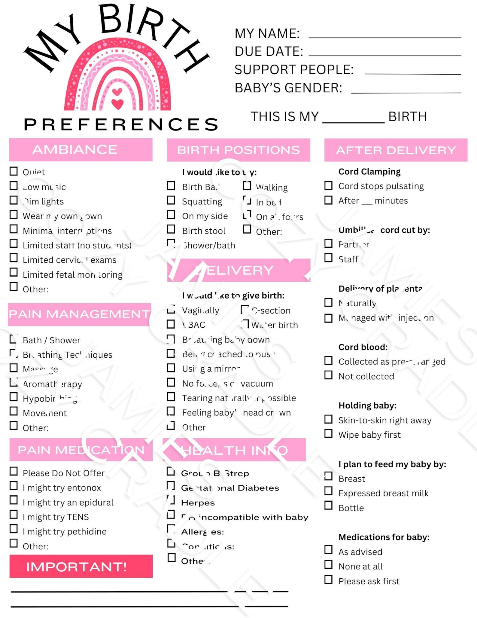 My Birth Preferences, Birth Plan Template for Being Prepared to Give ...