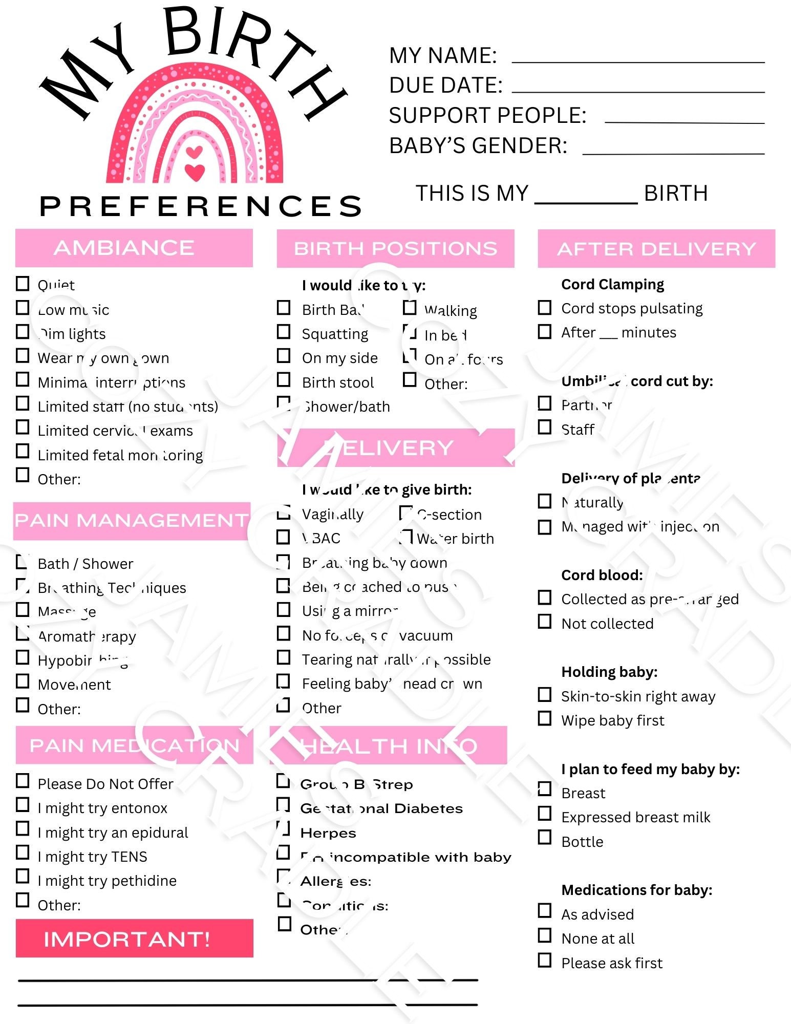 My Birth Preferences, Birth Plan Template for Being Prepared to Give ...