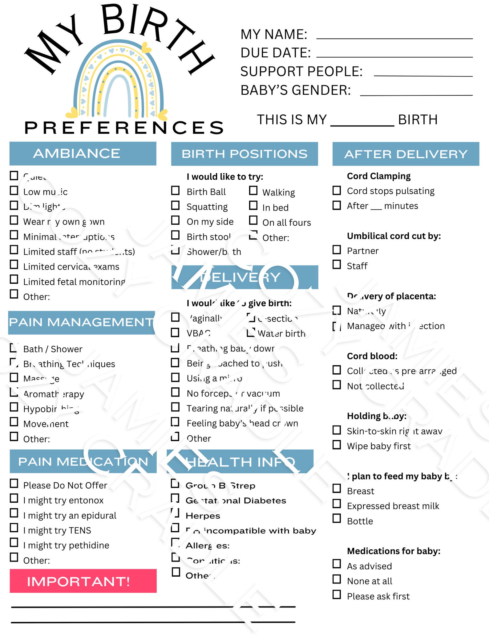 My Birth Preferences, Birth Plan Template for Being Prepared to Give ...