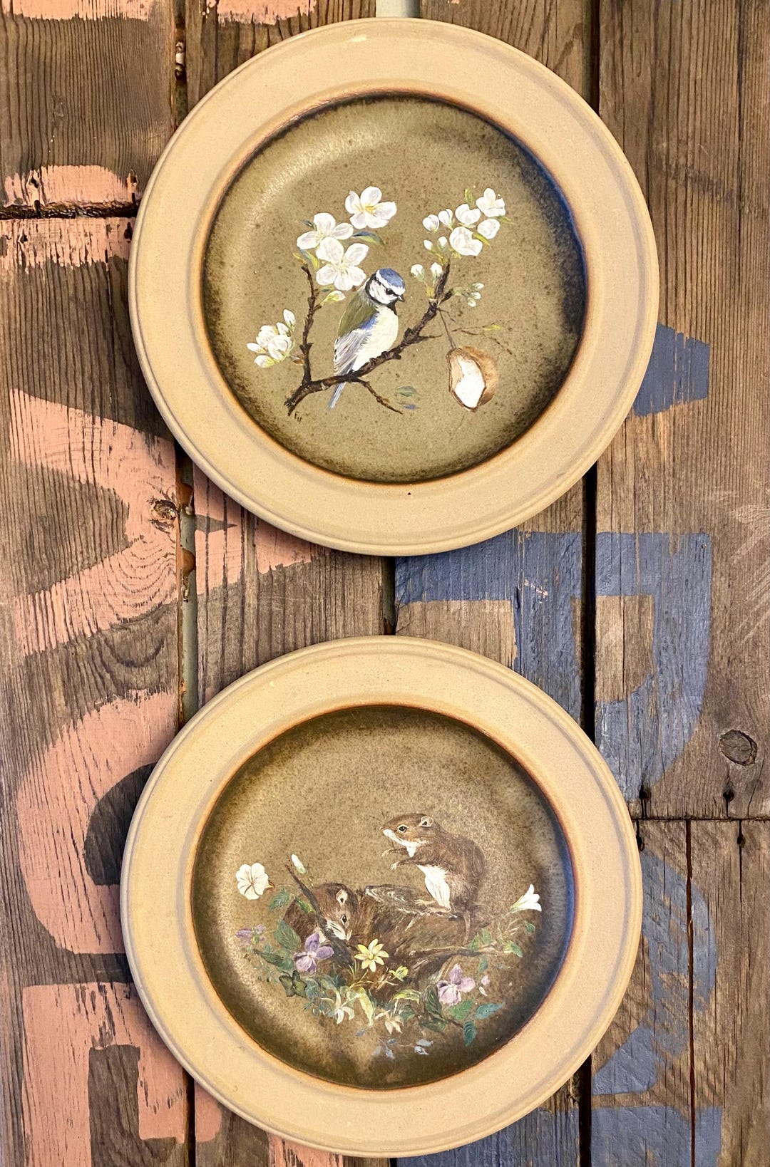 Hand Painted Cornish Tremar Pottery Plates With Blue Tit and Squirrel ...