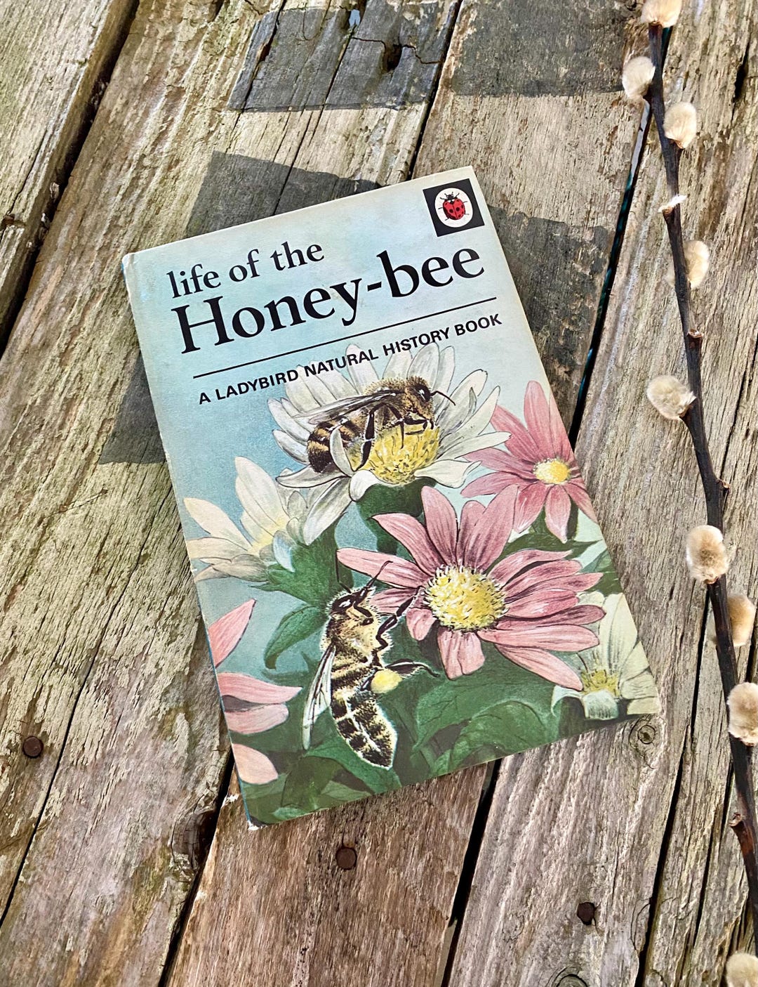 Vintage Ladybird Book - Life of a Honey Bee 1969 No.4 in the Nature ...