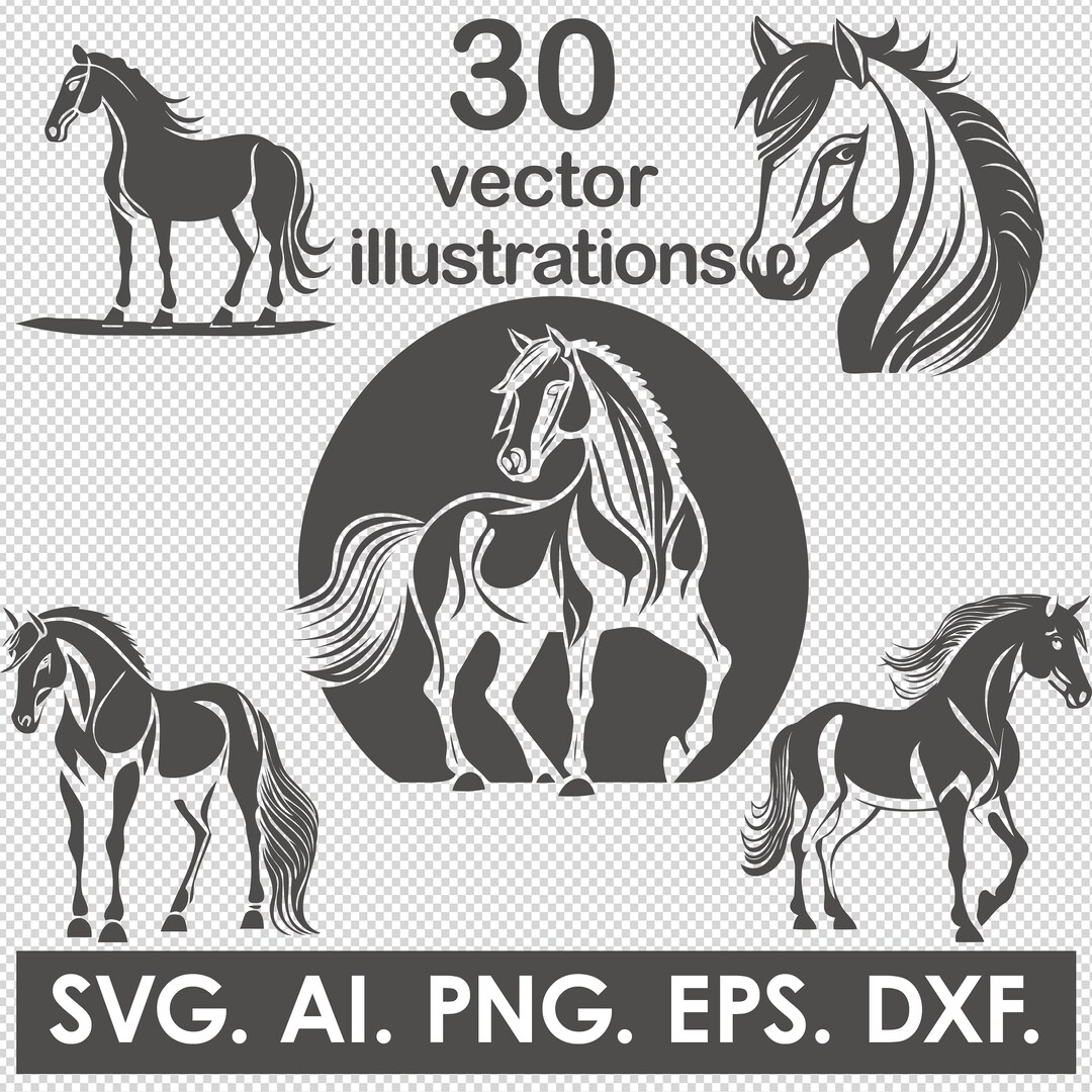 Set of 30 Horses Illustrations, Horse Svg, Ponny Svg, Pictograms in Png ...