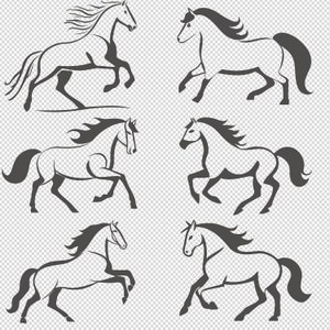 Set of 30 Horses Illustrations, Horse Svg, Ponny Svg, Pictograms in Png ...