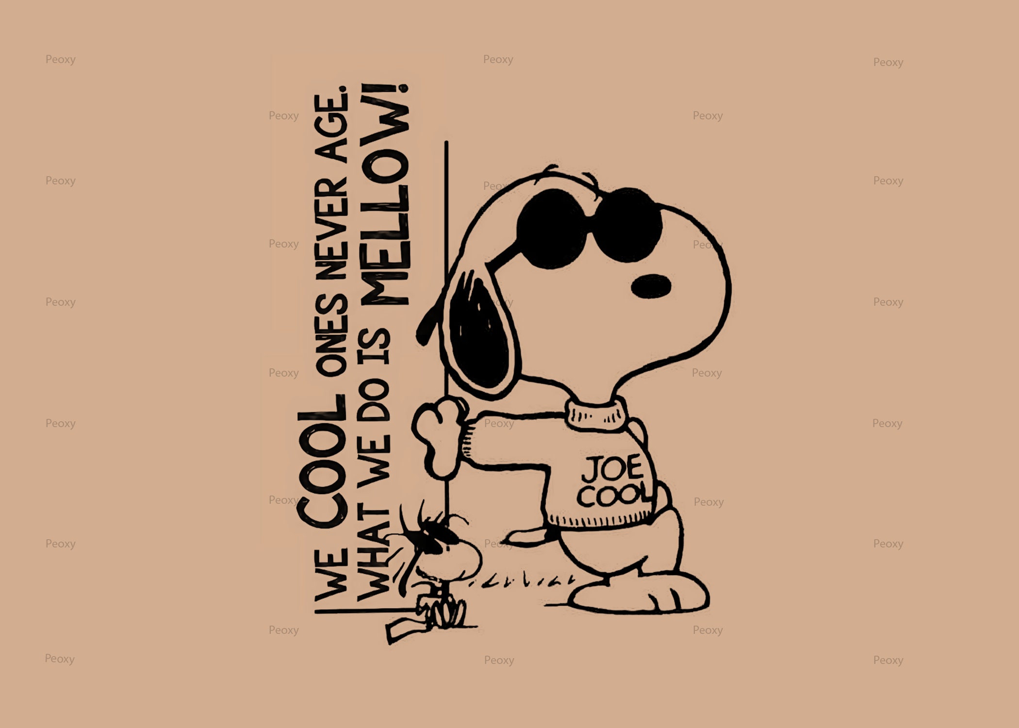 Joe Cool Snoopy Bike