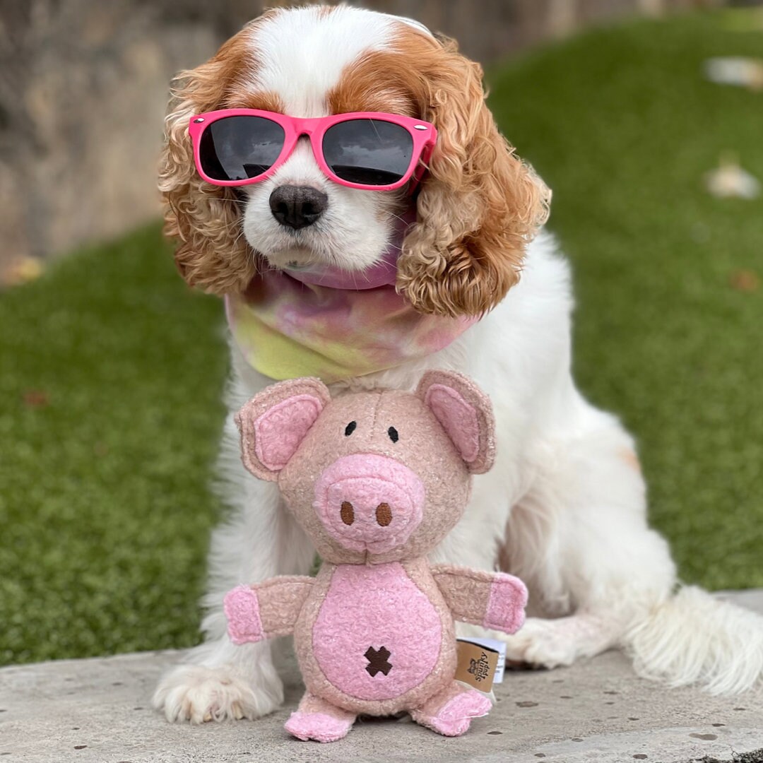 Woolies Plush Dog Toys Made From Bali Wool - Etsy