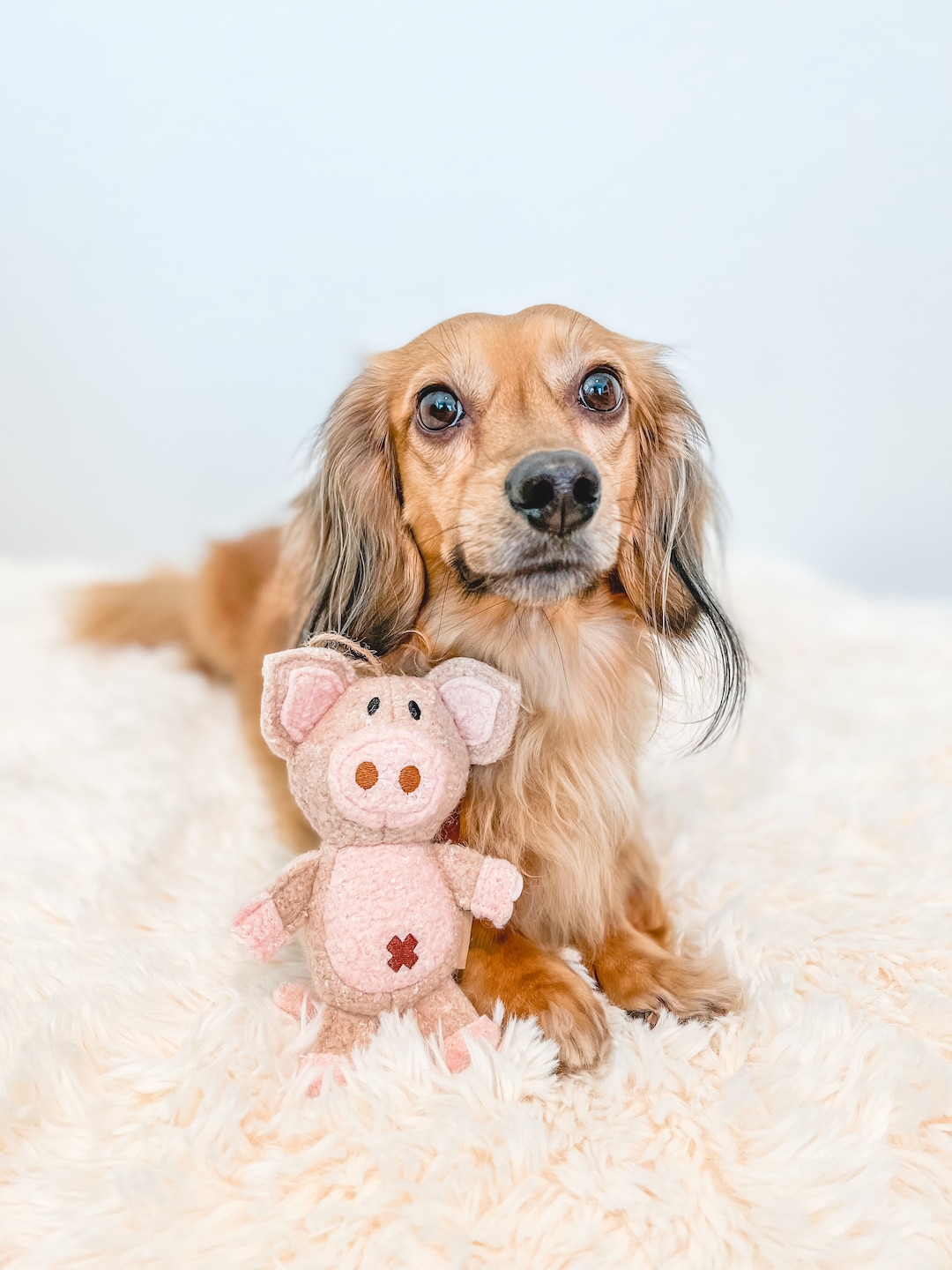 Woolies Plush Dog Toys - Made From Bali Wool - Etsy