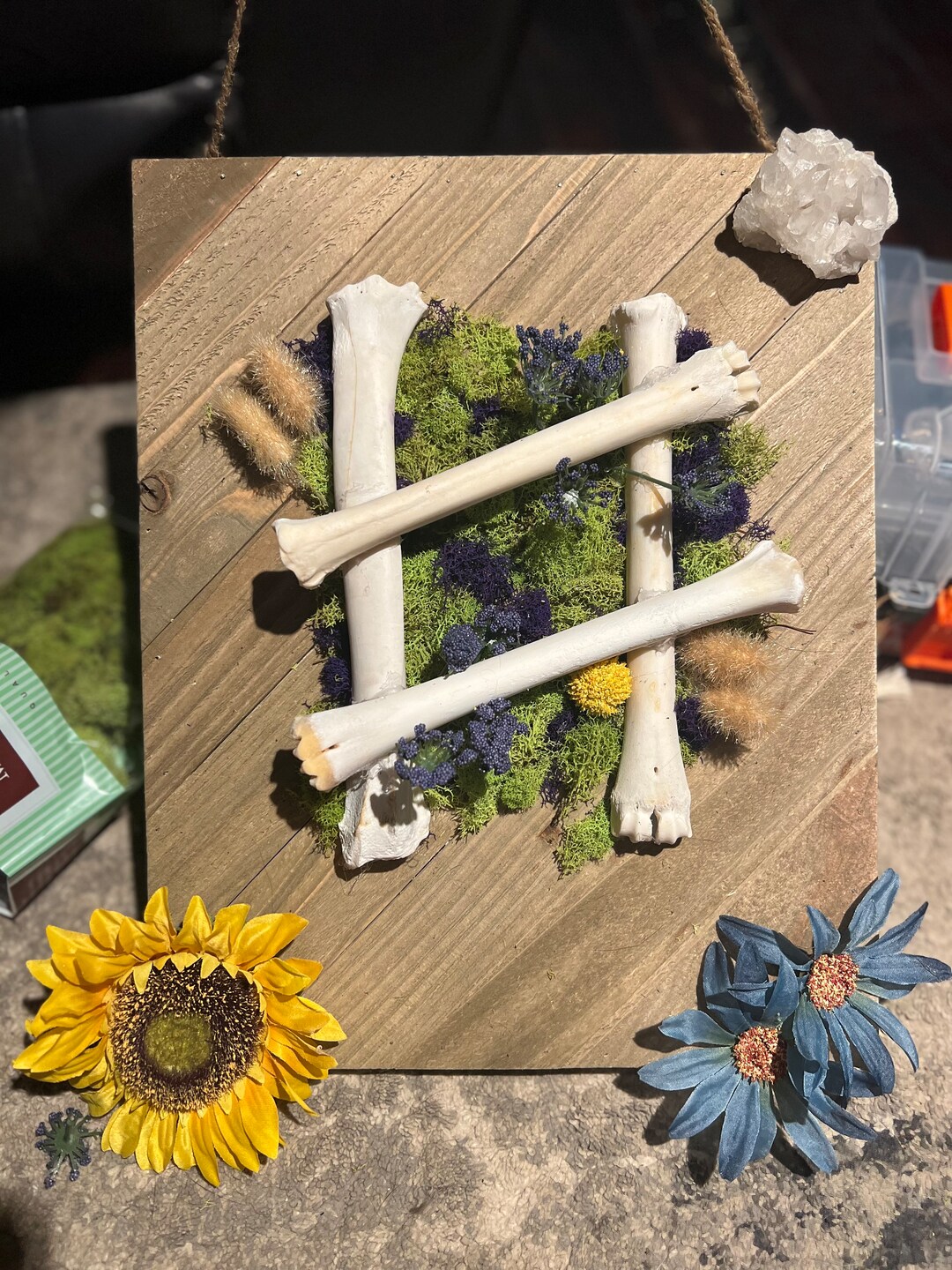 Deer Bone Wall Decor - Etsy