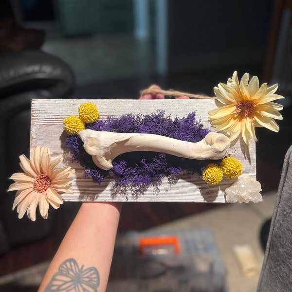 Deer Leg Bone - Etsy