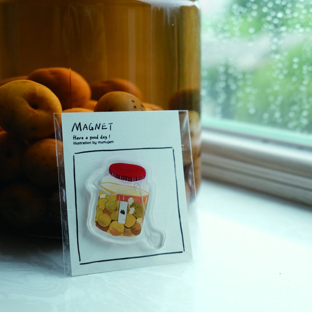 Artistic Illustrated Acrylic Magnet Pickles, Creative Magnet, Fridge ...