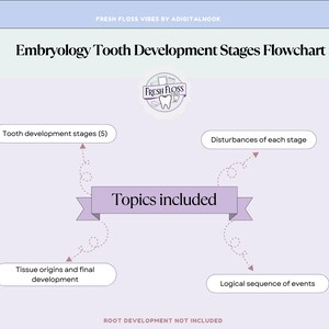 Tooth Development Stages Flow Chart | Dental Embryology Study Aid ...