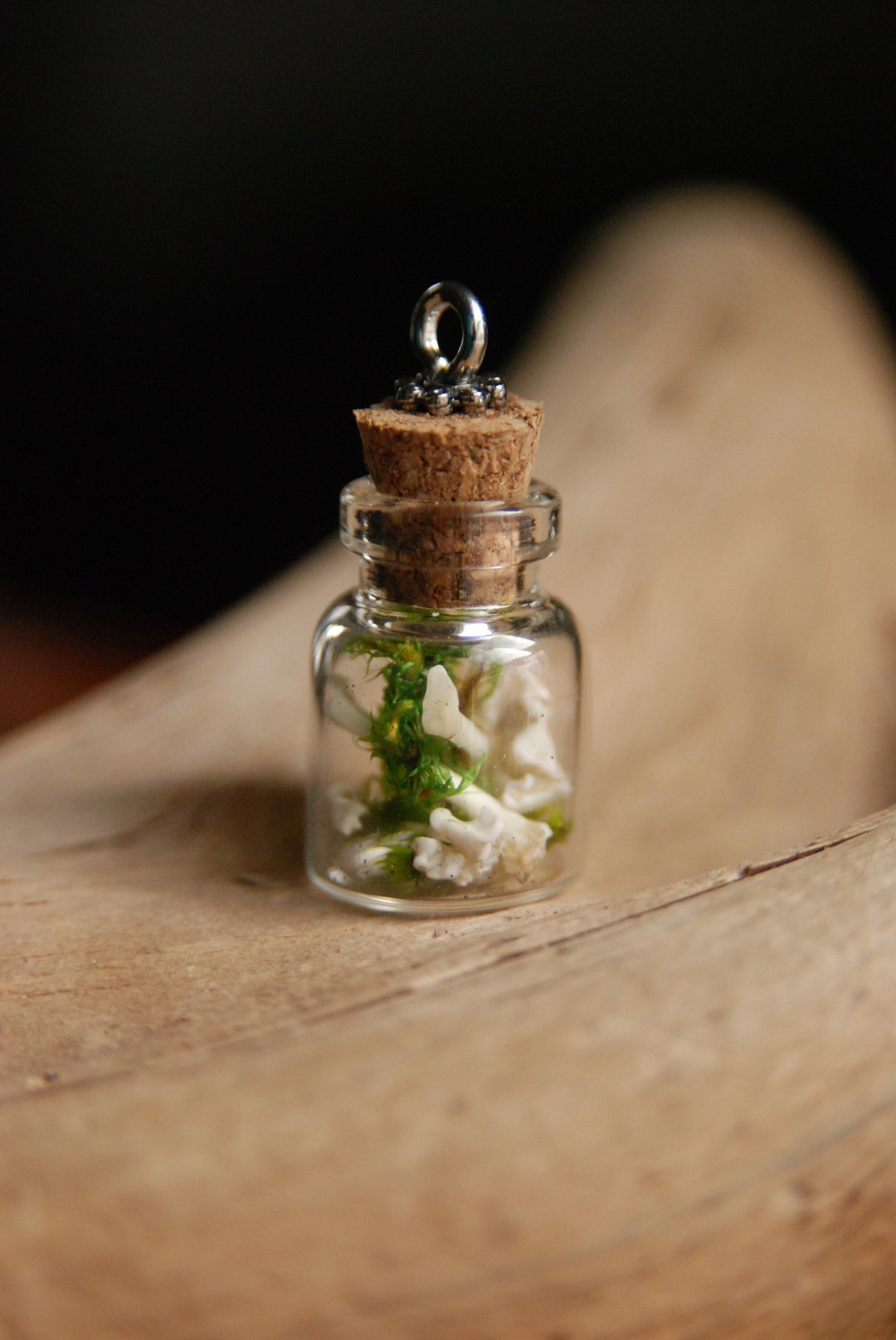 Natural Miniature Teeth and Bone Glass Vial Pendant- Ethically Foraged ...